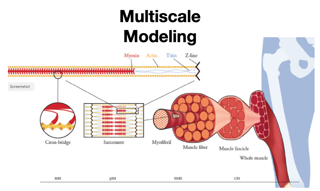Moonshot – Wu Tsai Human Performance Alliance